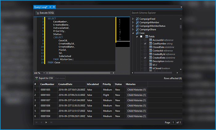 SOQL Query Execution | The Welkin Suite SOQL Query Execution | The Welkin Suite